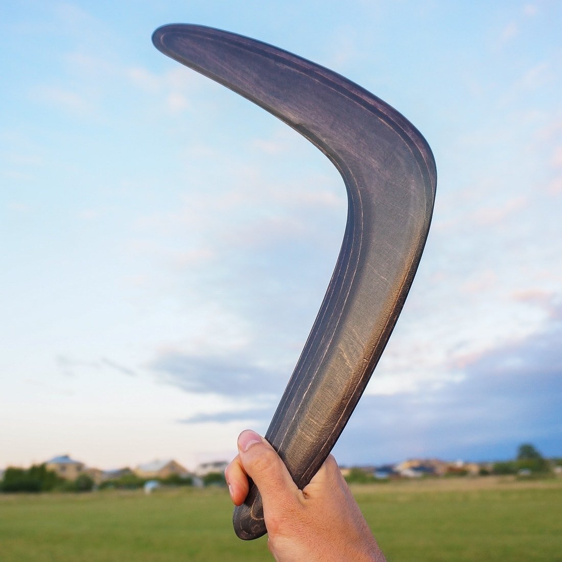 Boomerangs in Various Colors