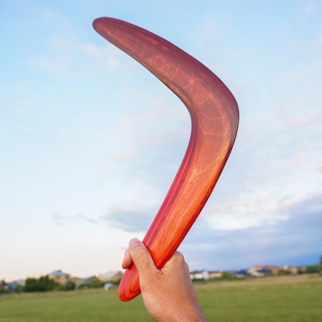 Boomerangs in Various Colors