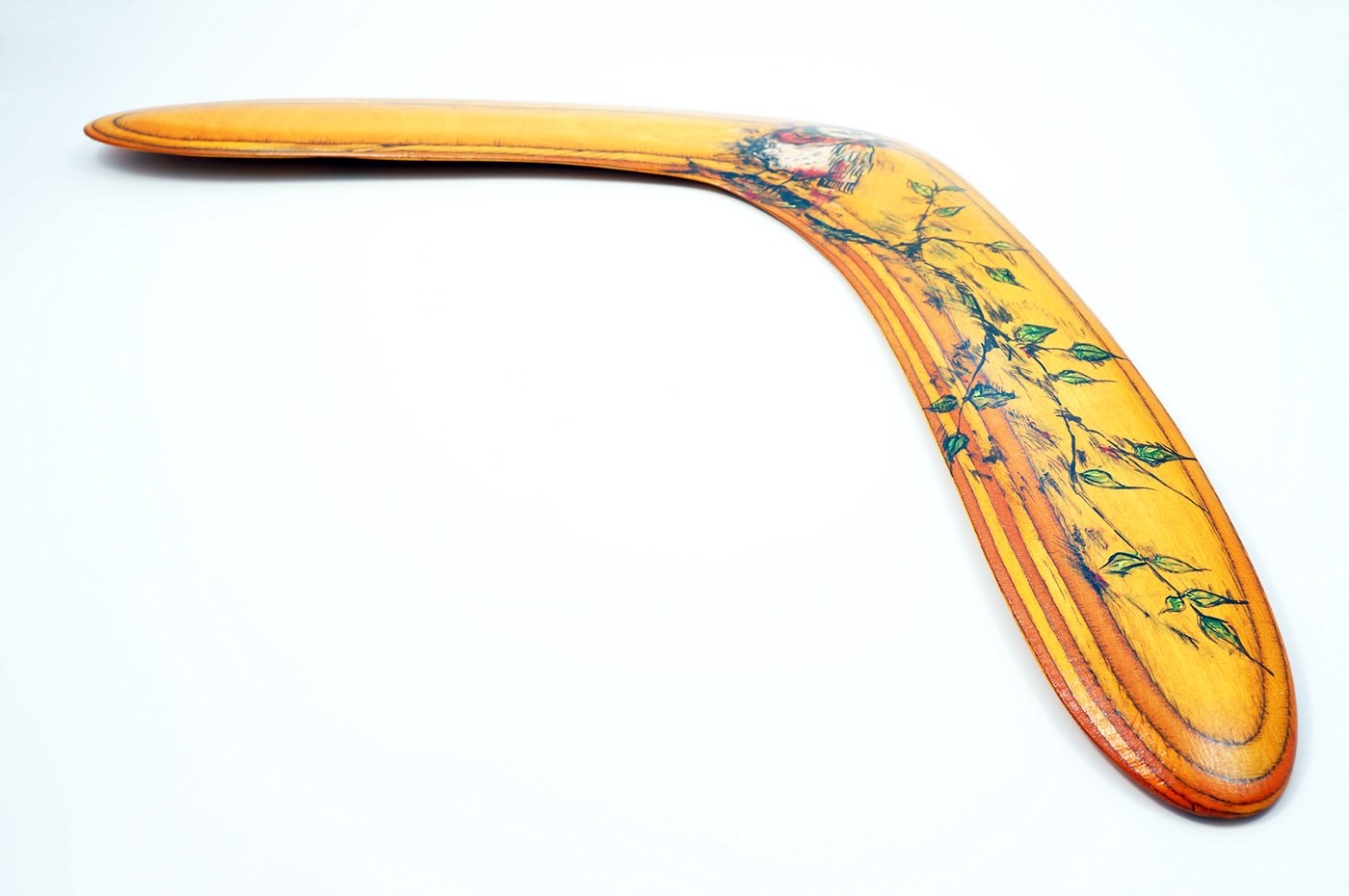 Buy_Boomerang_wooden_returning_Bird_2